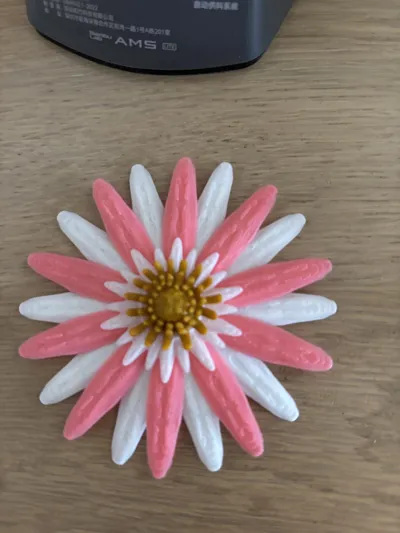 Daisies | Modular Flowers 01 by Maerc - MakerWorld