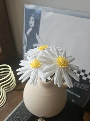 Daisies | Modular Flowers 01 by Maerc - MakerWorld