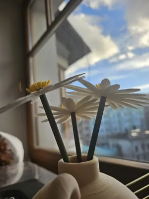 Daisies | Modular Flowers 01 by Maerc - MakerWorld