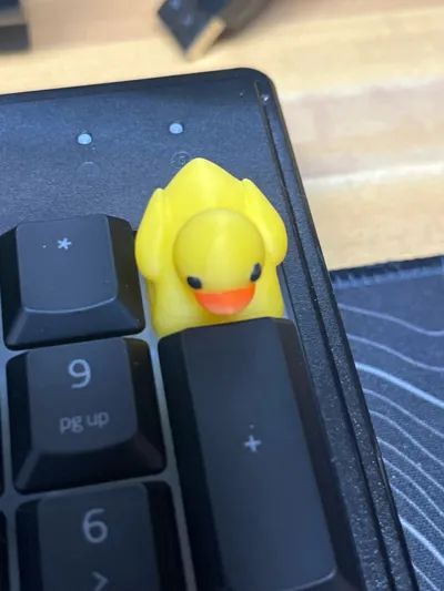 Ducky Artisan Keycap (AMS) - Free 3D Print Model - MakerWorld