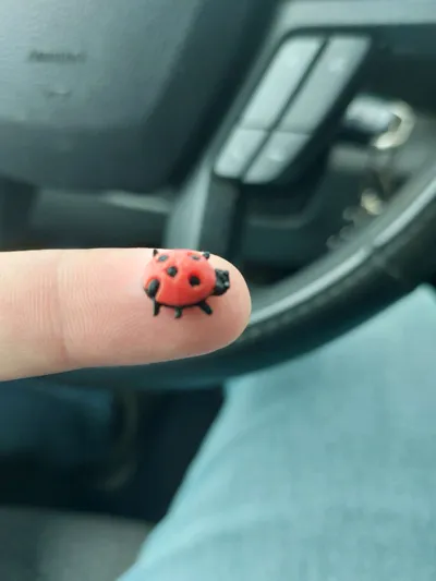 Tiny Pocket Ladybug - Super Fast Print by Lite MakerWorld: Download ...