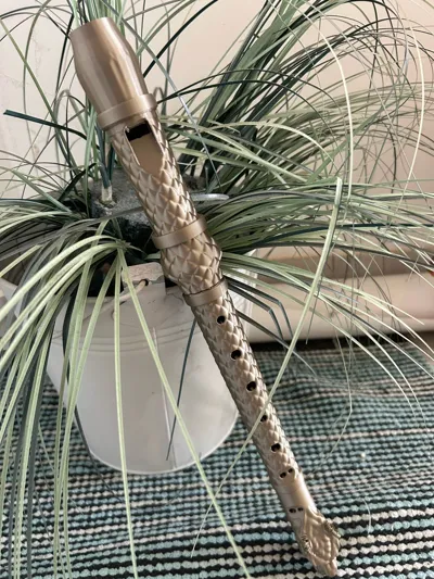 Dragon Recorder by P1lotz MakerWorld: Download Free 3D Models