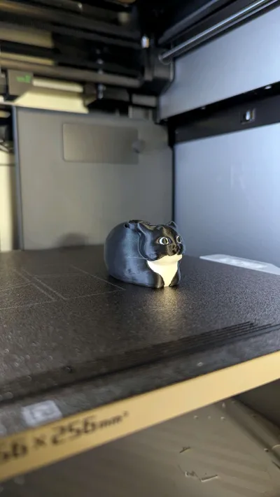 Oiia Oiia Cat meme spinner by ningworksMakerWorld: Download Free 3D Models