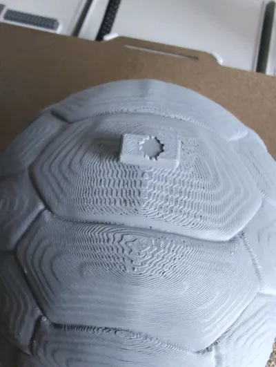 Turtle Jewelry Box – Unique 3D Printable Storage - Free 3D Print Model ...