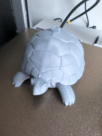 Turtle Jewelry Box – Unique 3D Printable Storage by black3dworks ...