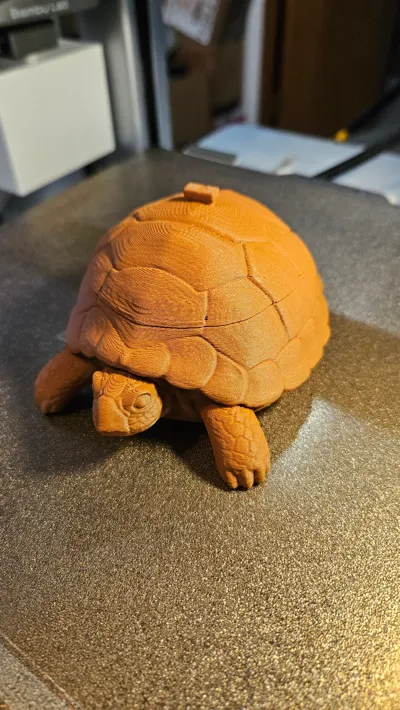 Turtle Jewelry Box – Unique 3D Printable Storage by black3dworks ...