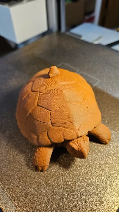 Turtle Jewelry Box – Unique 3D Printable Storage by black3dworks ...