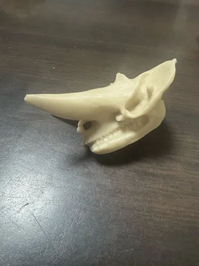 Prehistoric Animal Skull Fossils by ASTAR MakerWorld: Download Free 3D ...