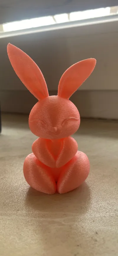 Just Bunny by 29FLO - MakerWorld