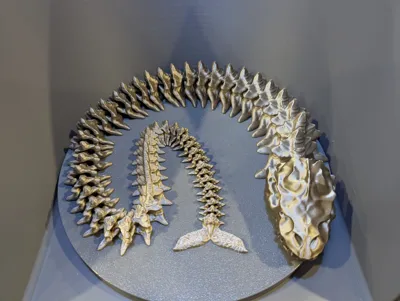 Articulated Skeletal Basilosaurus by Plastic3D MakerWorld: Download ...