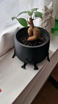 Smiling Happy Flower Pot Remixed by Isonine - MakerWorld