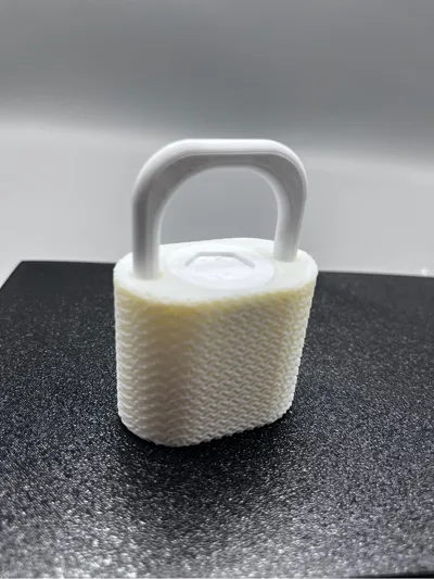 Practical Padlock (Fully 3D Printed) by 256工作室 MakerWorld: Download ...