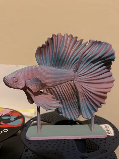 betta fish by Nik12_ocb MakerWorld: Download Free 3D Models