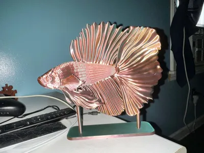 betta fish by Nik12_ocb MakerWorld: Download Free 3D Models