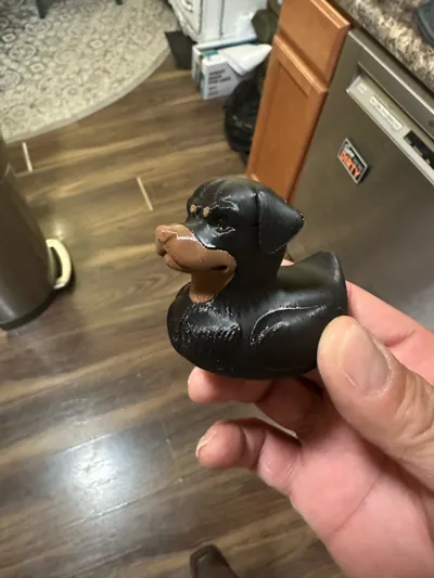 Rottweiler Duck by The Duck Vault MakerWorld: Download Free 3D Models