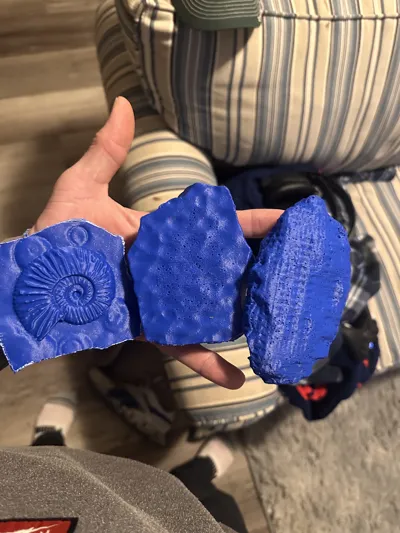 Fossil Excavation by WangRY - MakerWorld