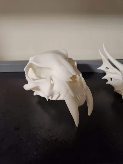 "Sabertooth" Skull by DTM247 MakerWorld: Download Free 3D Models
