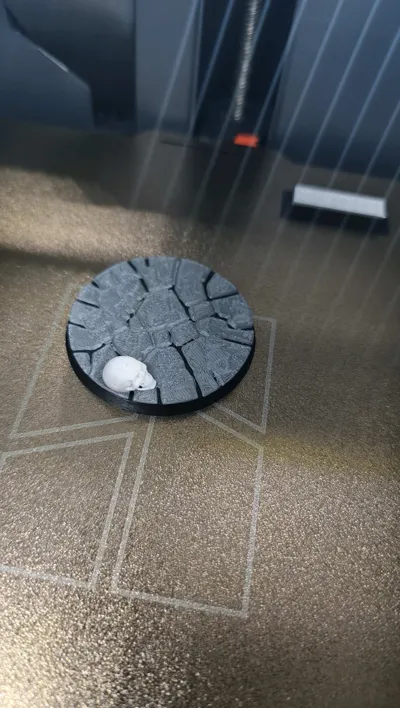 DnD Miniature Round Base Set by wif1973 MakerWorld: Download Free 3D Models