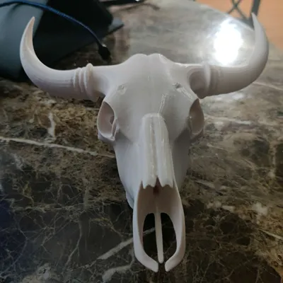 Ox Skull by Cheez_It MakerWorld: Download Free 3D Models
