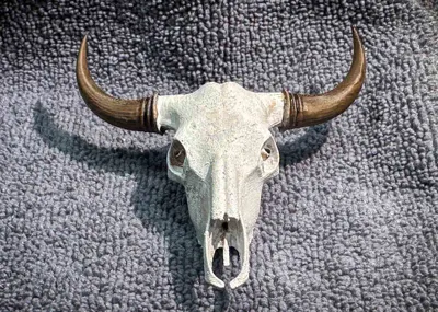 Ox Skull - Free 3D Print Model - MakerWorld
