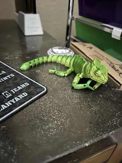 Flexi Chameleon by FilliFuu MakerWorld: Download Free 3D Models