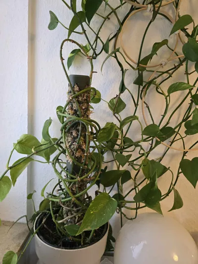 Moss Tower Verdura – The Modular Climbing Support by HpInvent MakerWorld: Download Free 3D Models