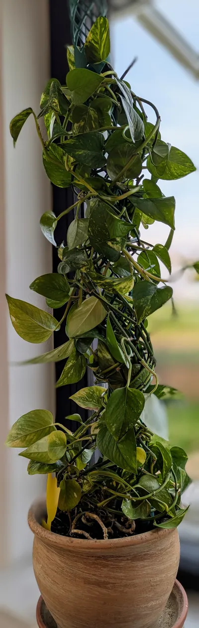 Moss Tower Verdura – The Modular Climbing Support by HpInvent MakerWorld: Download Free 3D Models