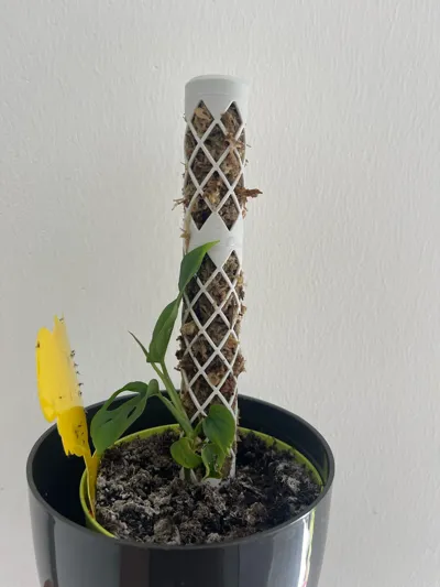 Moss Tower Verdura – The Modular Climbing Support by HpInvent MakerWorld: Download Free 3D Models