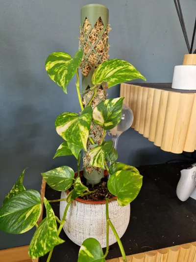 Moss Tower Verdura – The Modular Climbing Support by HpInvent MakerWorld: Download Free 3D Models