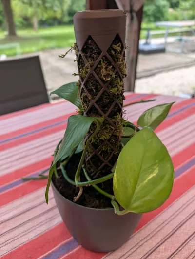 Moss Tower Verdura – The Modular Climbing Support by HpInvent MakerWorld: Download Free 3D Models