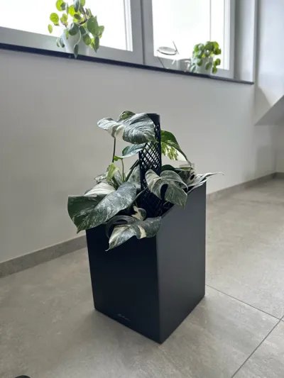 Moss Tower Verdura – The Modular Climbing Support by HpInvent MakerWorld: Download Free 3D Models