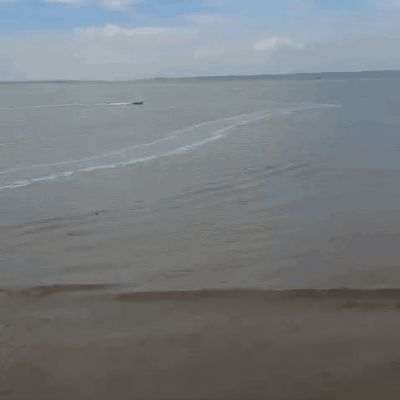RC BOAT CATAMARAN FOSS TEST PART by PrintFully3D.comMakerWorld ...