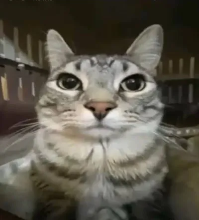 Mini Passthrough Vortex Spiral Fidget by 3Dudek MakerWorld: Download Free 3D Models