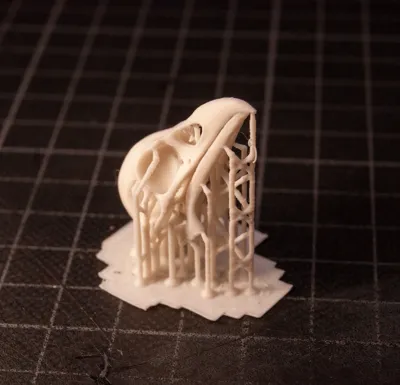 Raven Skull Fossil (Super Clean) by Boys Day Design MakerWorld ...