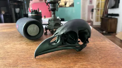 Raven Skull Fossil (Super Clean) - Free 3D Print Model - MakerWorld