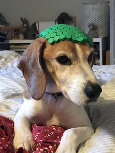 NASA Fabric - V2 - Free 3D Print Model - MakerWorld