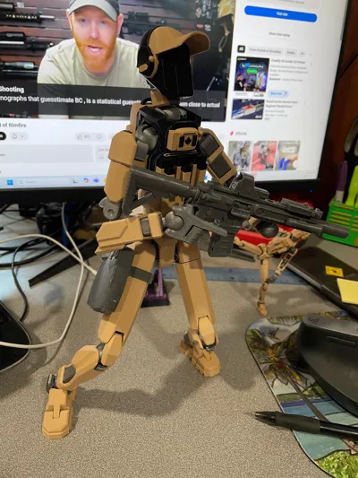 Dummy 13 AR-15 Rifle - Free 3D Print Model - MakerWorld