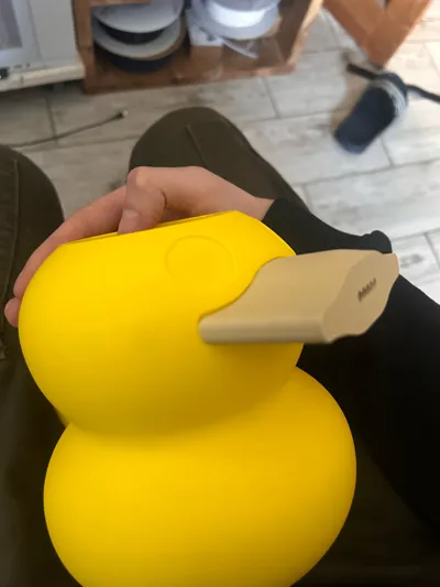 Sprayduck | Entonkanne | Psyduck Watering Can by Mishiro Studio ...