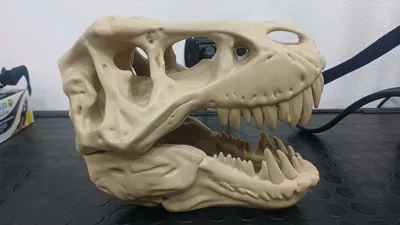 T-Rex Head Skull - Wall Art by Arganoff MakerWorld: Download Free 3D Models