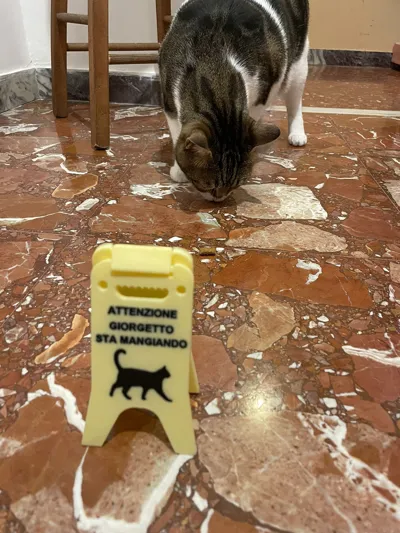 Funny mini Floor Signs (caution, warning) - Free 3D Print Model ...