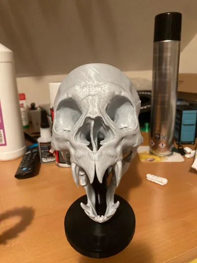 Hyperrealistic Vampire Skull v2024 by idrawcrap MakerWorld: Download ...