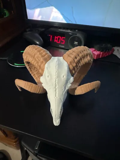 Ram Skull Remixed by lancelotcv MakerWorld: Download Free 3D Models