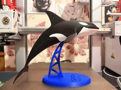 Orca - Free 3D Print Model - MakerWorld