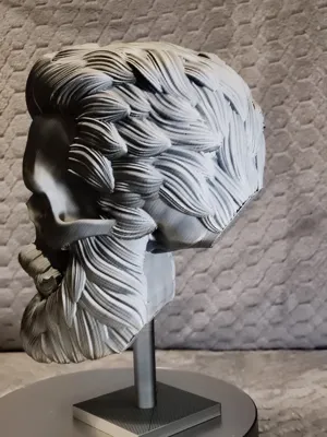 BEARD SKULL COLLECTION - Nº1 by Rogi Studios MakerWorld: Download Free 3D Models