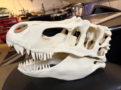 T-rex Skull - Free 3D Print Model - MakerWorld