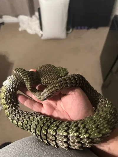 Articulated Rattlesnake (print in place) by Its_Donnie MakerWorld ...