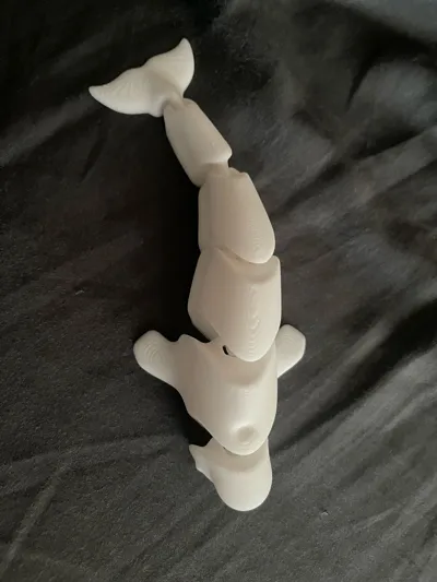 Articulated Beluga whale by Jopek Design MakerWorld: Download Free 3D ...