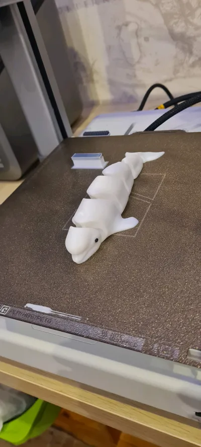 Articulated Beluga whale by Jopek Design MakerWorld: Download Free 3D ...