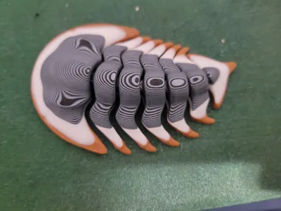 Articulated Trilobite by Jopek Design MakerWorld: Download Free 3D Models