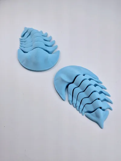 Articulated Trilobite by Jopek Design MakerWorld: Download Free 3D Models